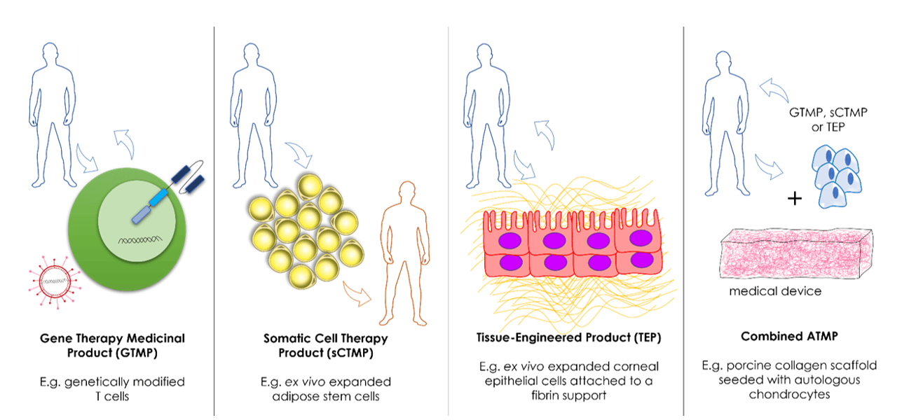 How to Leverage EMA’s ATMP Classification