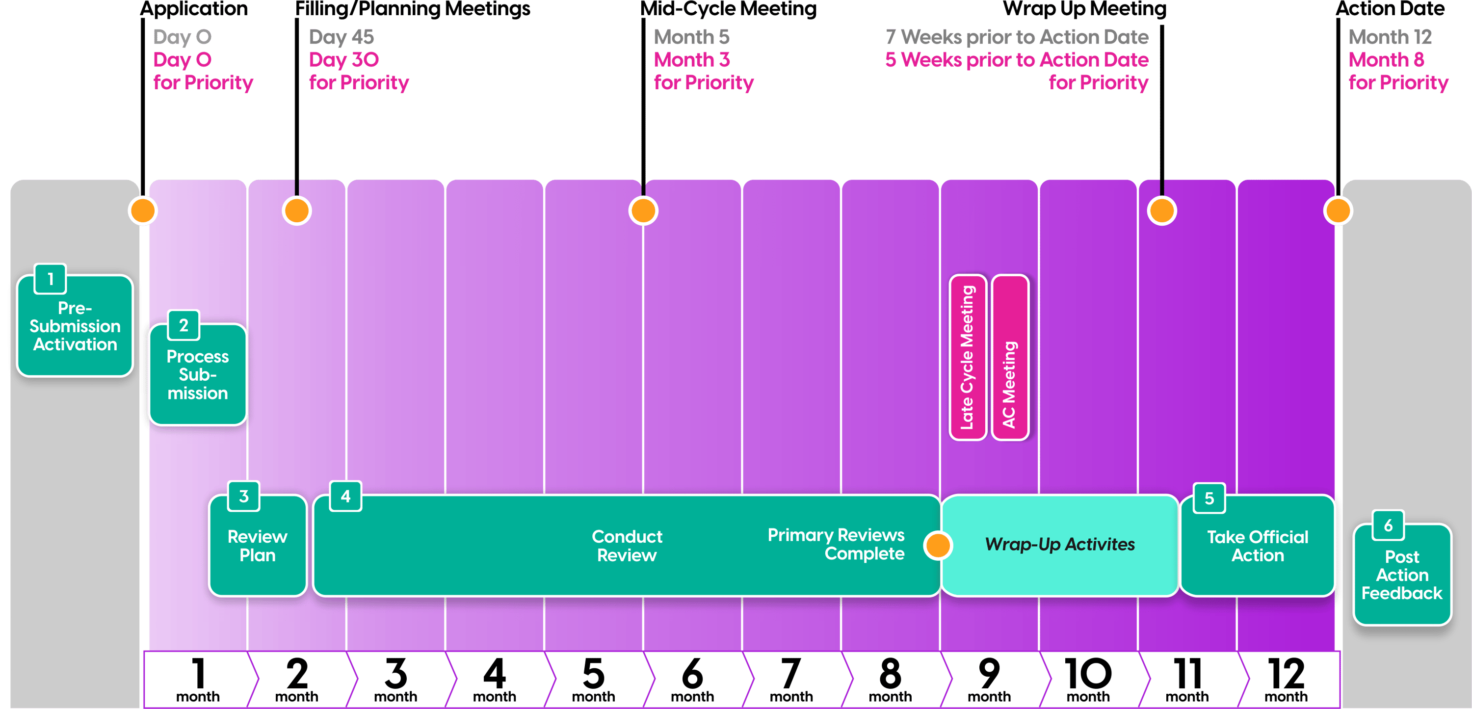 FDA NDA Review Process: What to Expect?
