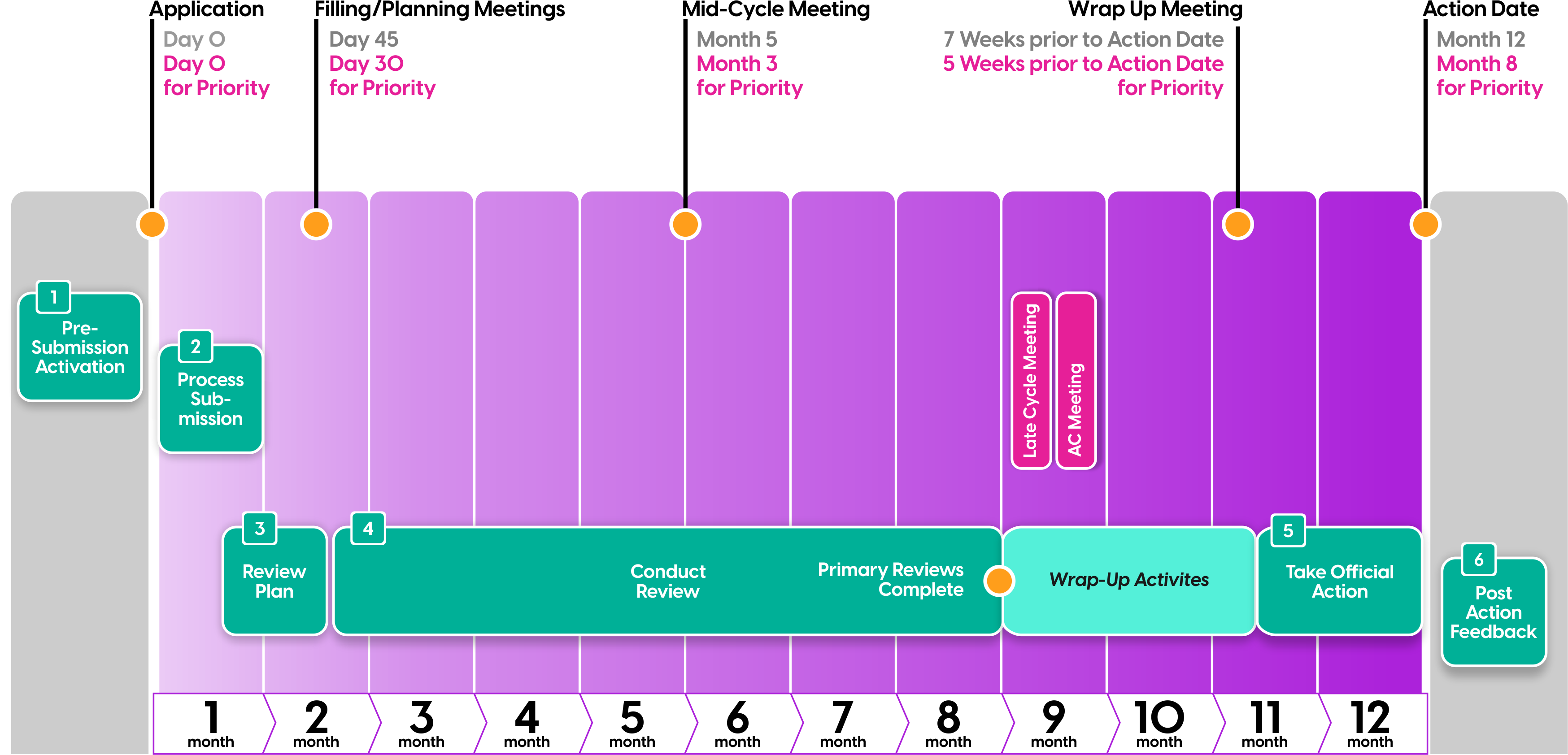 FDA NDA Review Process: What to Expect?